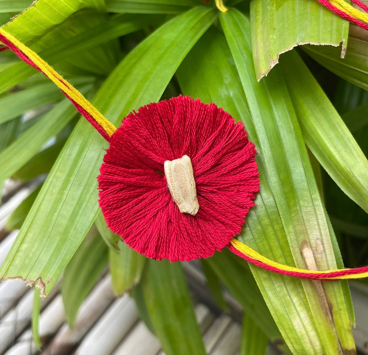 Plantable Red Thread Rakhi with Gheeya Seed | Rakhi with Seeds| Combo ...