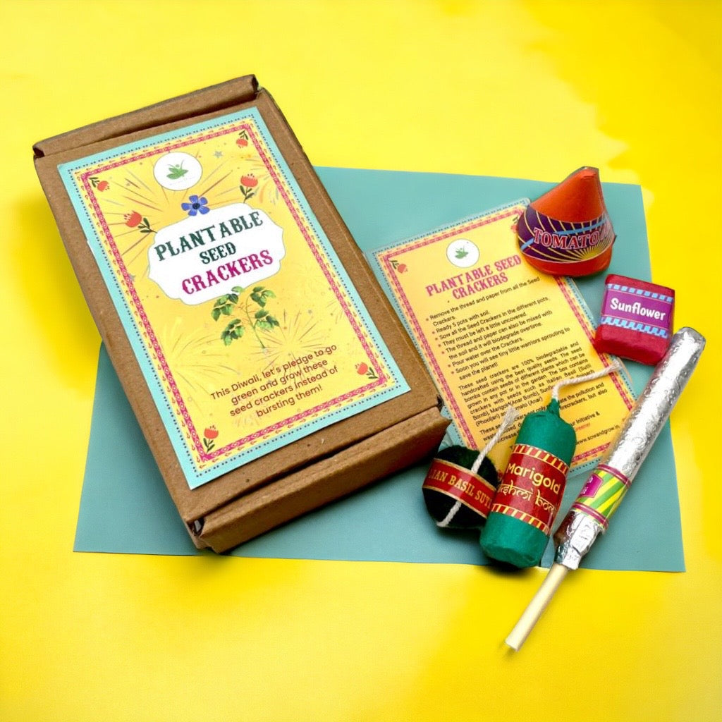 SEED CRACKERS: Plantable Clay Seed Crackers | Set of 5 – Sow and Grow®