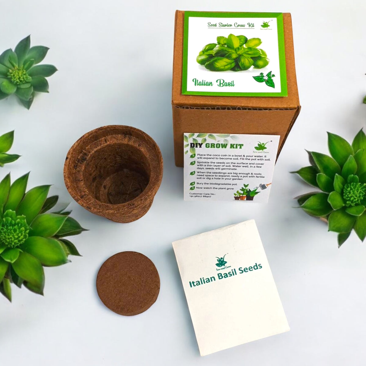 Mini Italian Basil Grow Kits – Set of 9 | Eco-Friendly Gardening Gifts ...