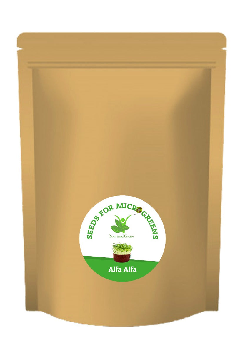 Sow and Grow Alfa Alfa Microgreen Seeds- 150 Grams | Best Germination ...