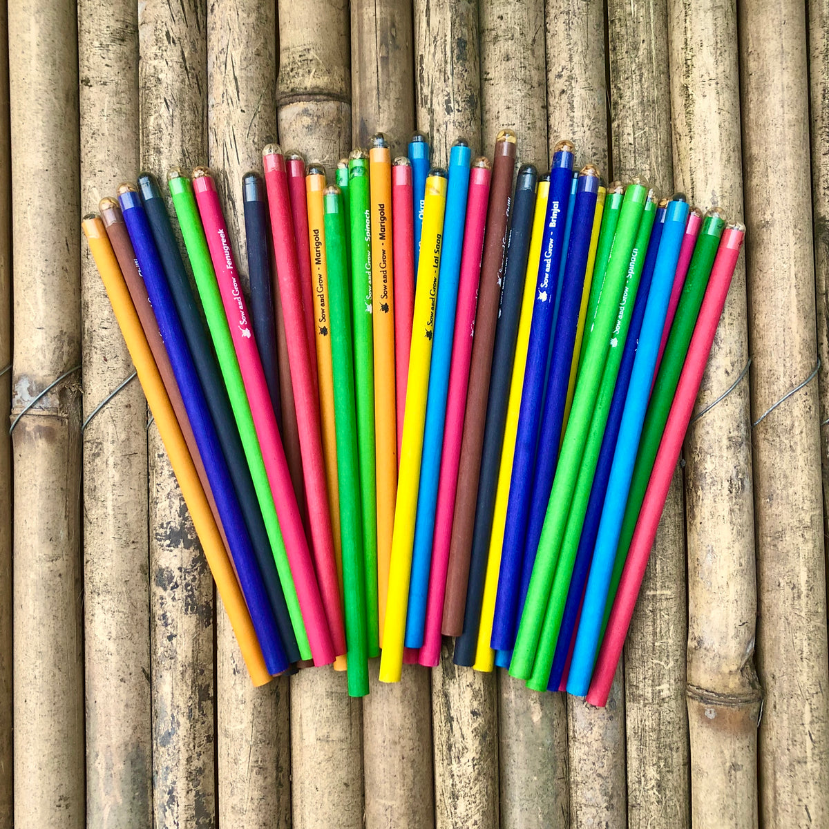 Sow and Grow Pack of 50 Plantable Seed Pencils | Eco Friendly Gift Pac ...