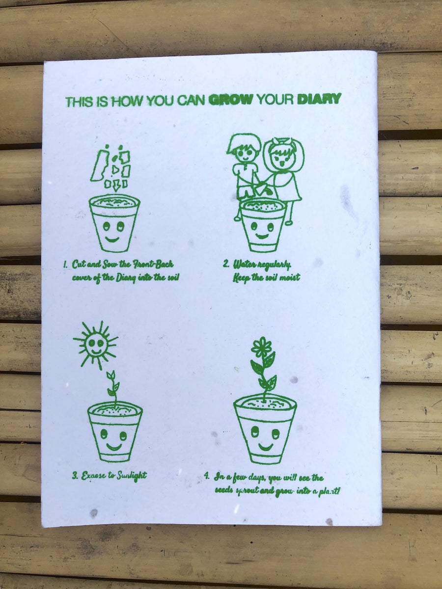 Sow and Grow Eco-Friendly Plantable Seed Diary for Writing, Sketching ...